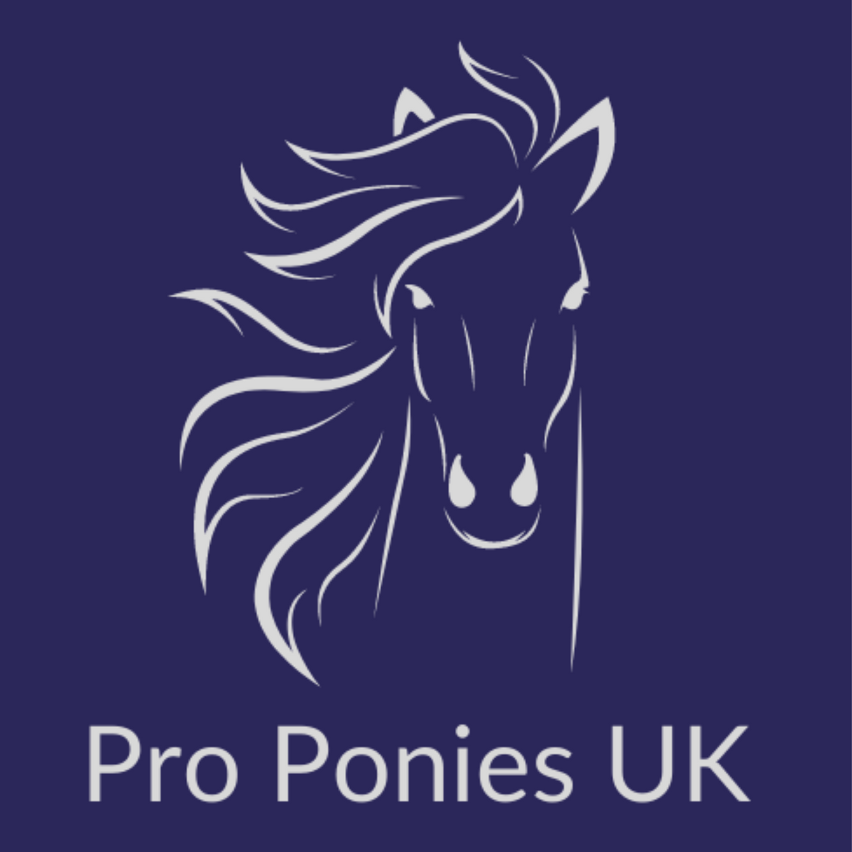 Pro Ponies UK